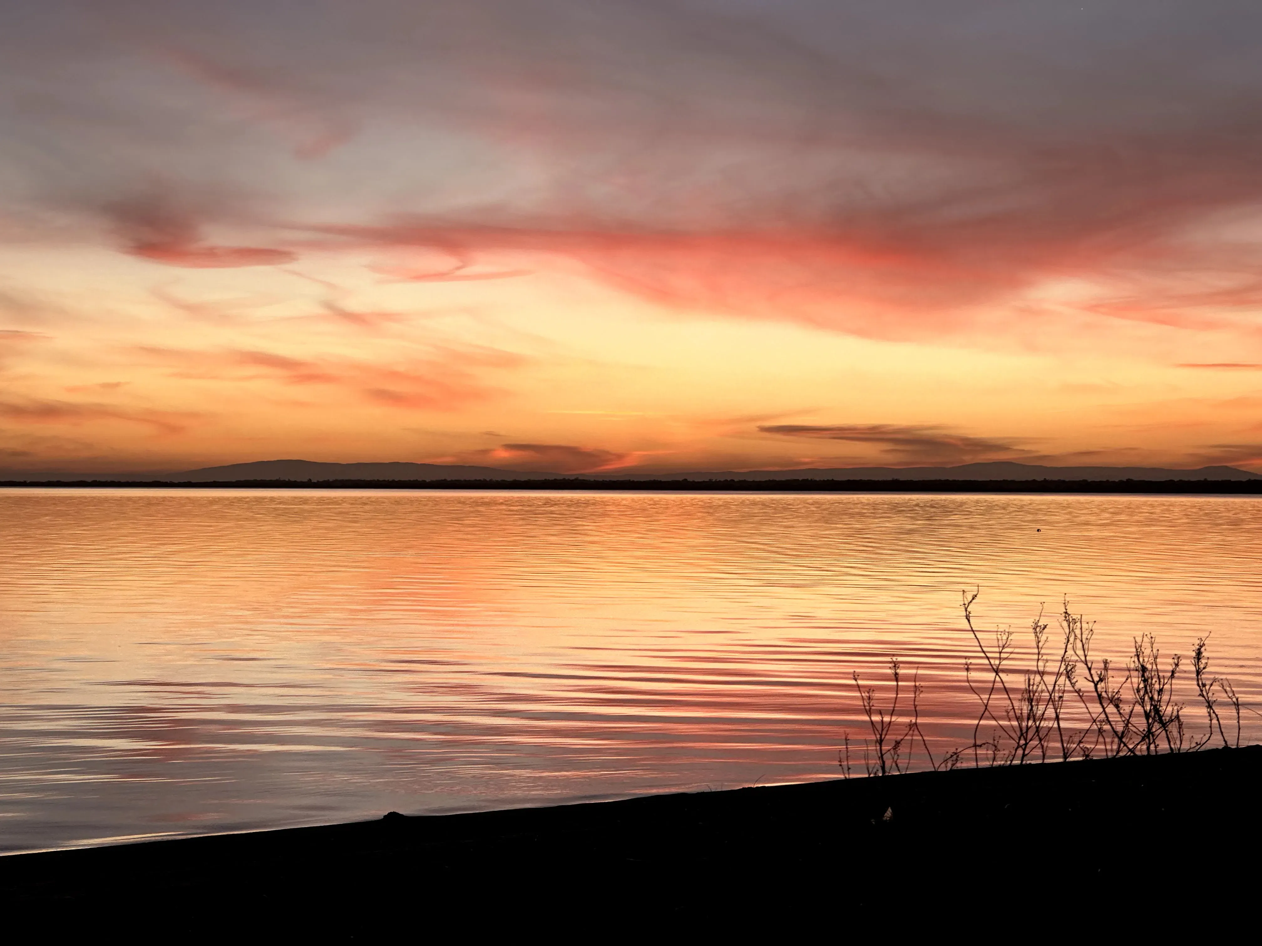 Roseneath Holiday Park